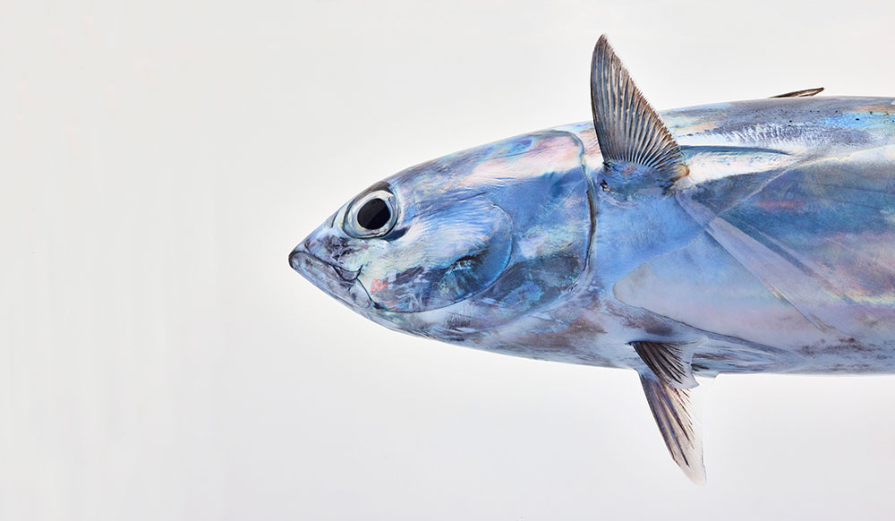 TOP | PHOTO CREATIVE | 博報堂プロダクツ フォトクリエイティブ